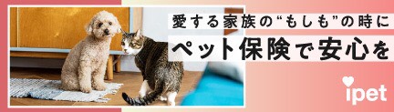 ネッツテラス猪名川 | ネッツ神戸